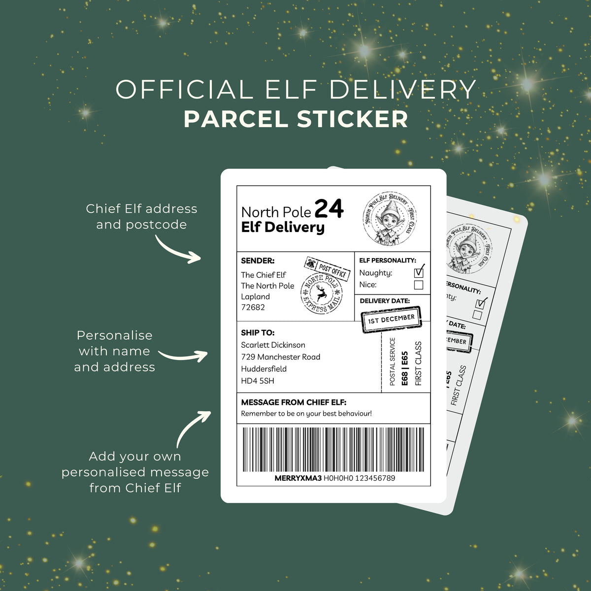 'Elf Delivery' Official Parcel Sticker – Porky Penguin