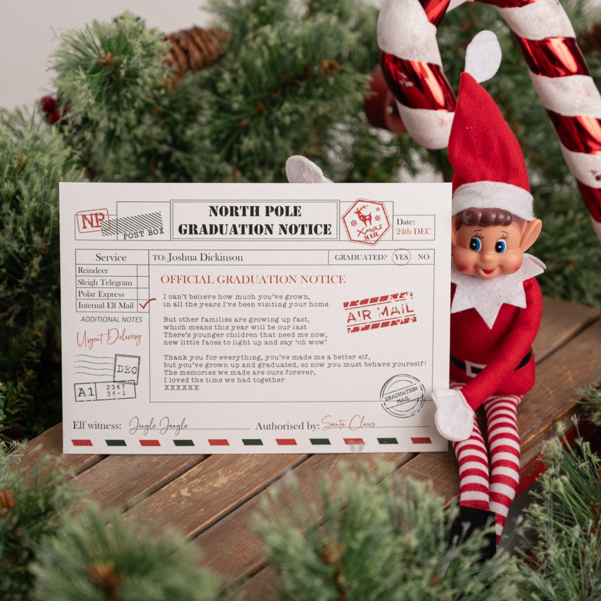 Graduation Mail - Forever Goodbye From The Elf – Porky Penguin