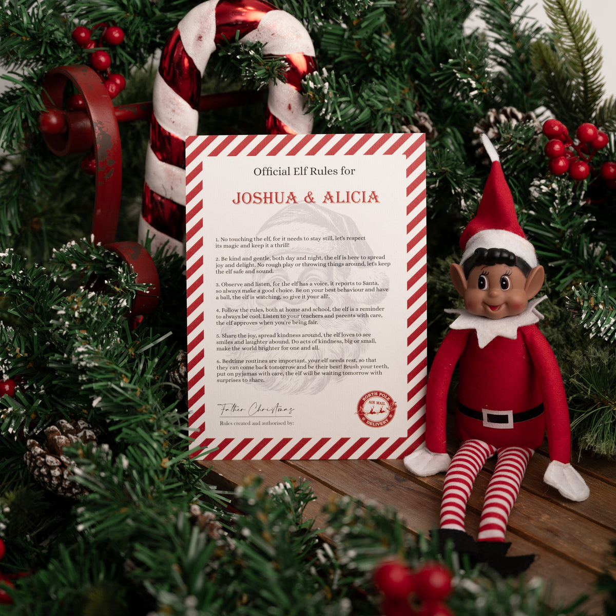 Personalised Official Elf Rules – Porky Penguin
